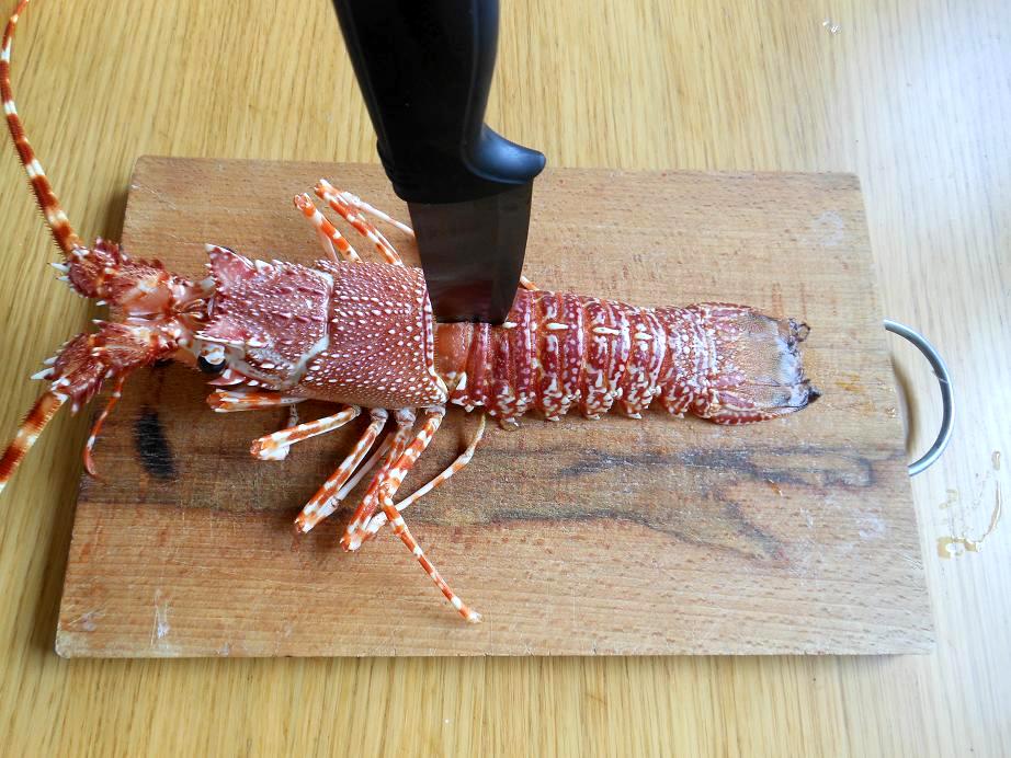 Me gusta langusta - DoradcaSmaku.pl