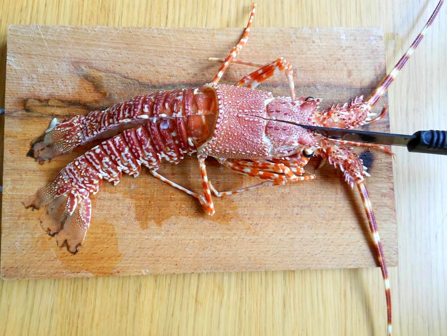 Me gusta langusta - DoradcaSmaku.pl