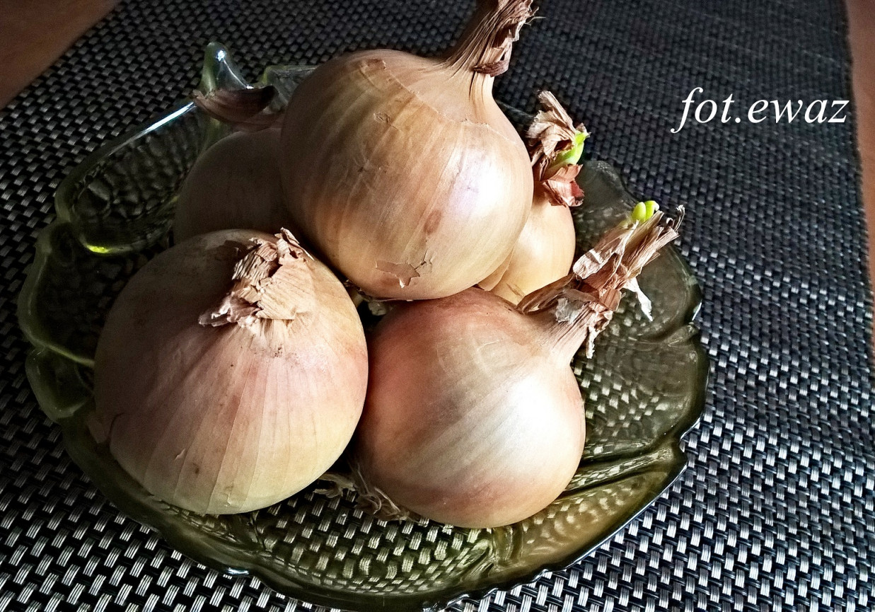 Cebula na zdrowie - DoradcaSmaku.pl