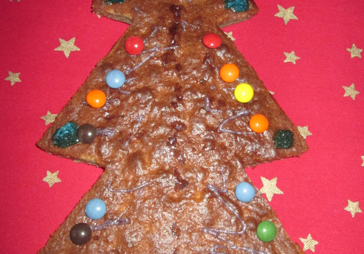 Choinka Sachera - DoradcaSmaku.pl