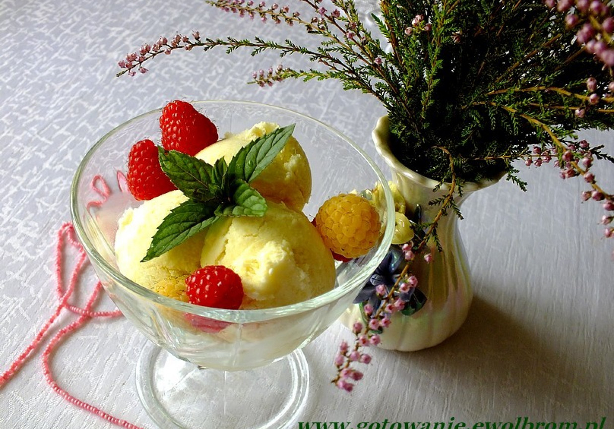 Domowe lody „zielone jabłuszko” - DoradcaSmaku.pl
