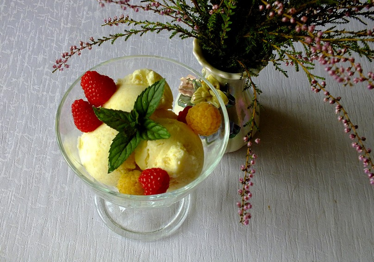 Domowe lody „zielone jabłuszko” - DoradcaSmaku.pl