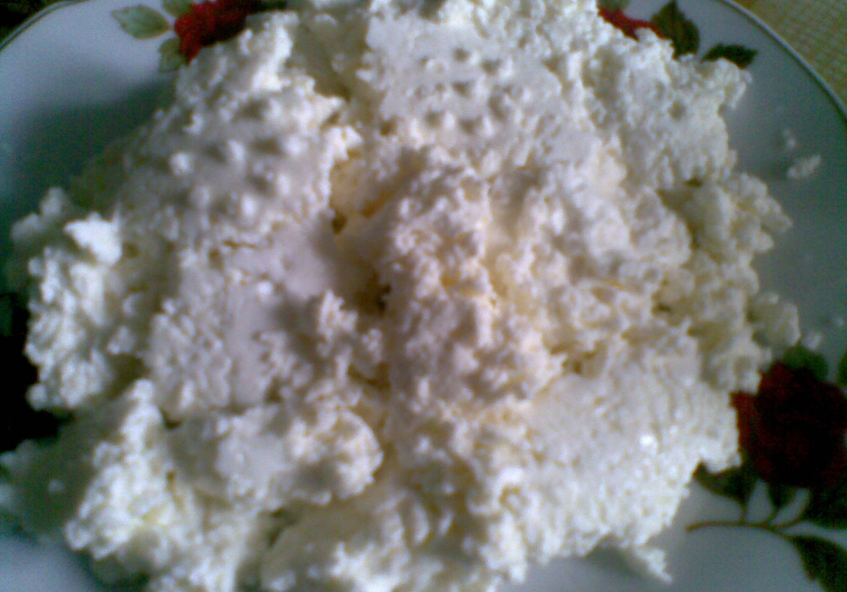 domowy twaróg - DoradcaSmaku.pl