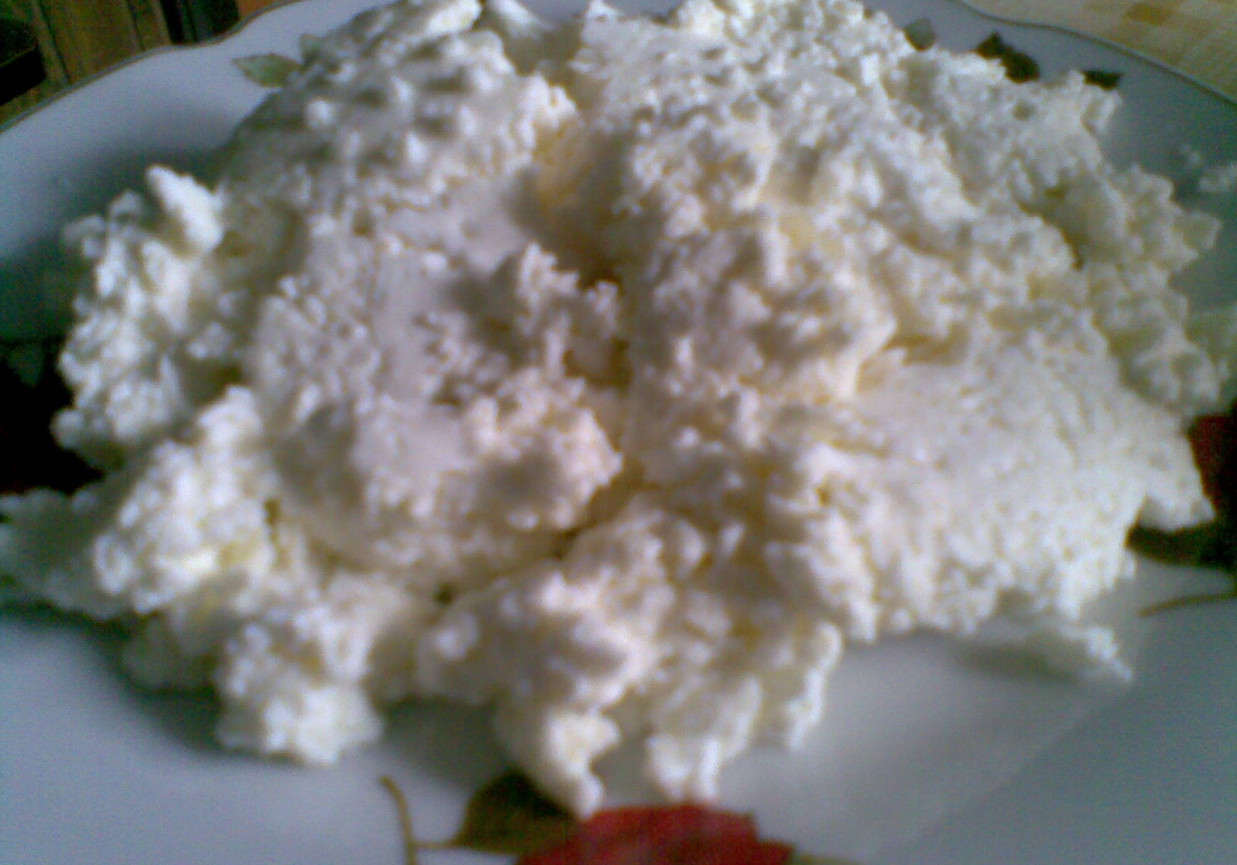 domowy twaróg - DoradcaSmaku.pl