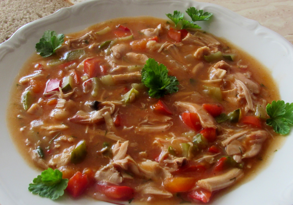 Drobiowy strogonow - DoradcaSmaku.pl