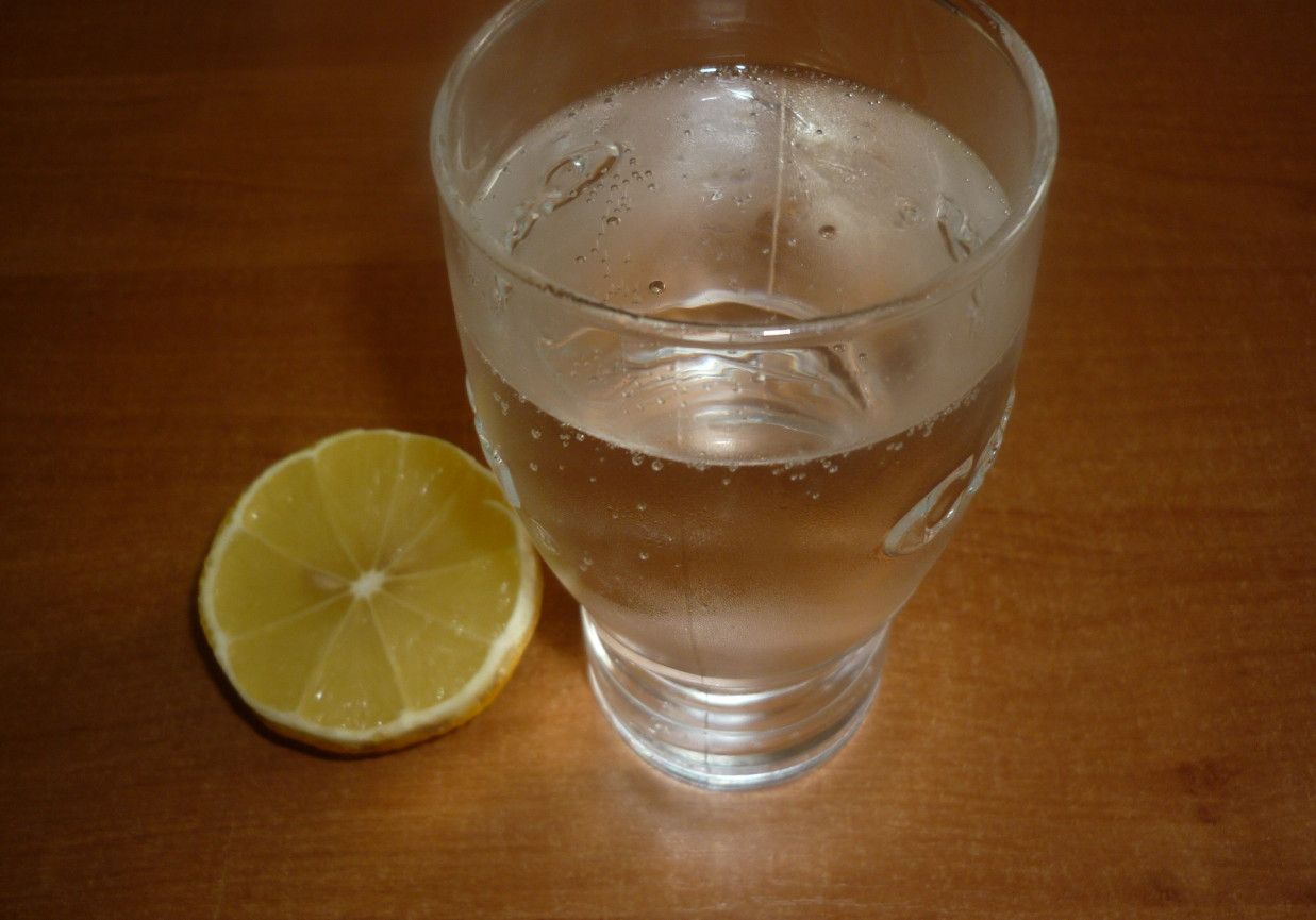 Dżin z tonikiem - DoradcaSmaku.pl