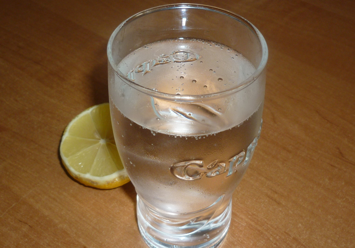 Dżin z tonikiem - DoradcaSmaku.pl