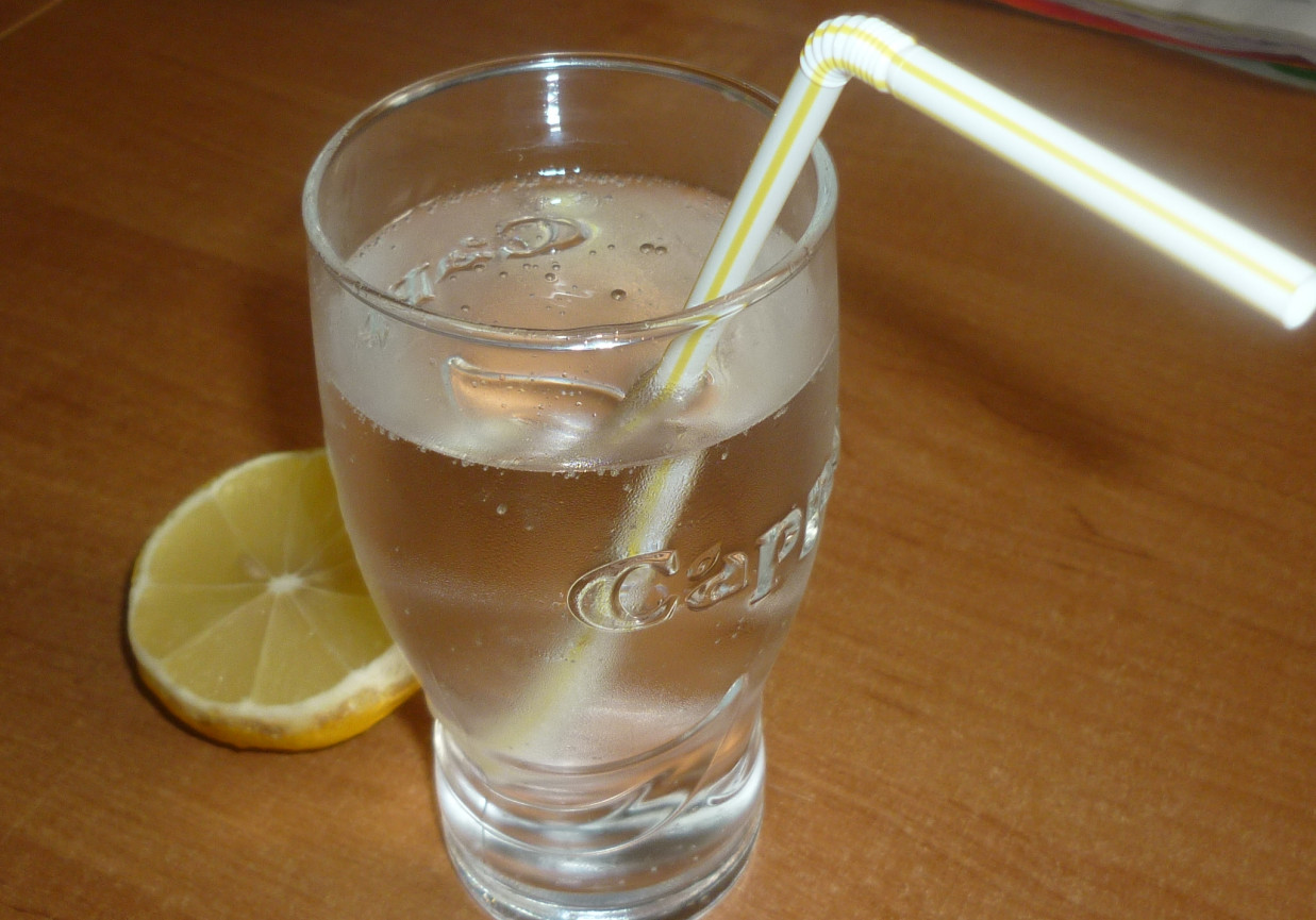 Dżin z tonikiem - DoradcaSmaku.pl