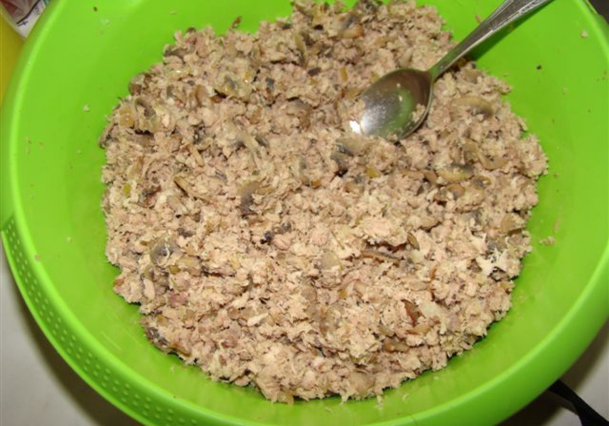 farsz mięsny - DoradcaSmaku.pl