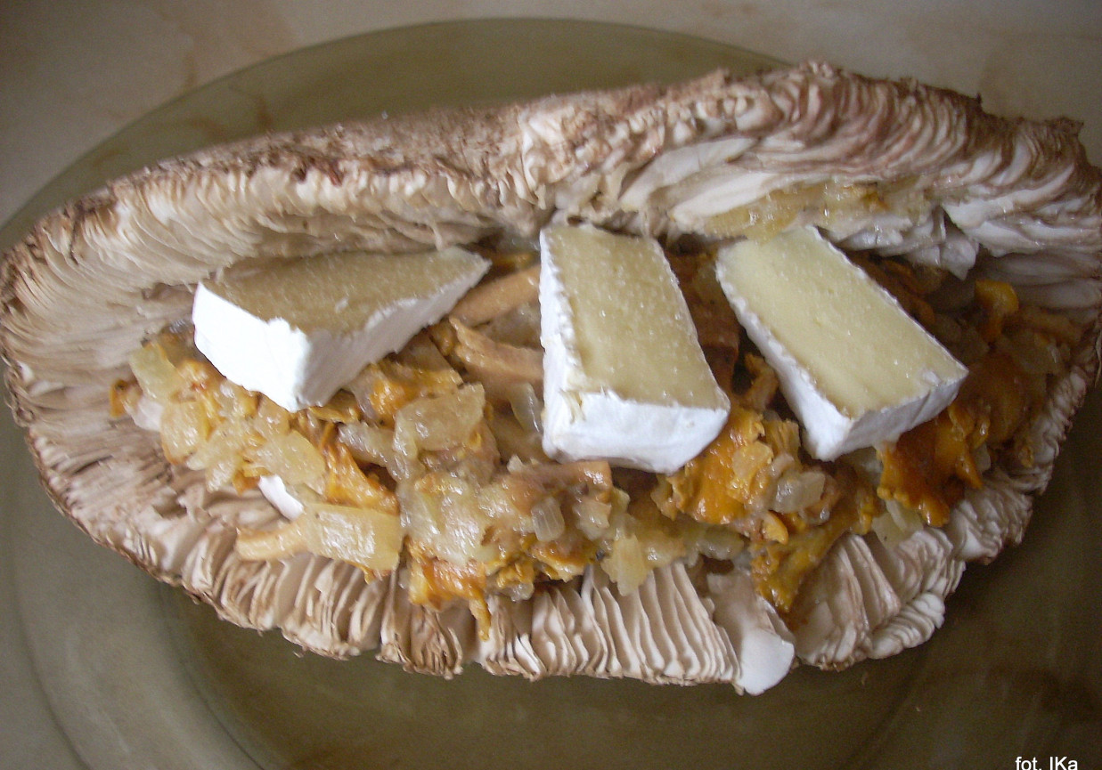 Grzyb z grzybami czyli sowa z kurkami - DoradcaSmaku.pl