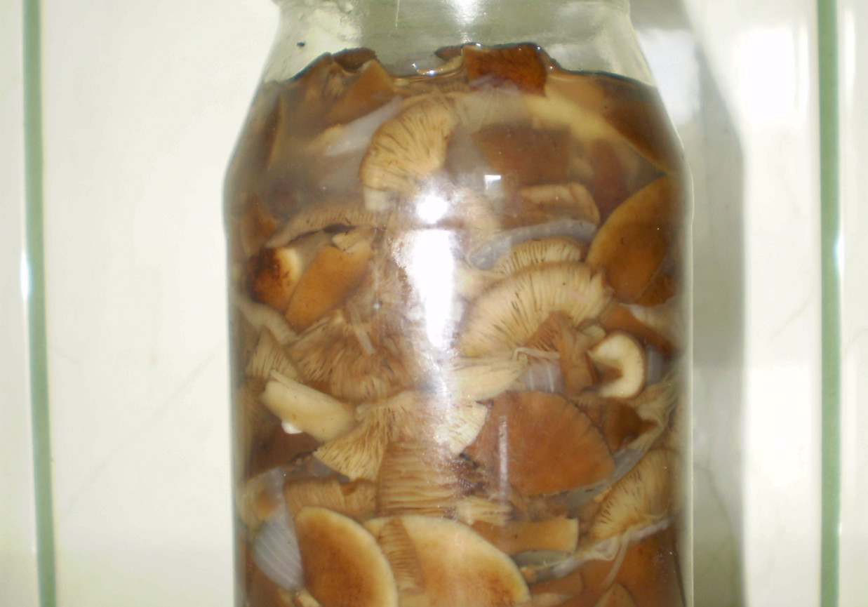 grzyby - opieńki marynowane - DoradcaSmaku.pl