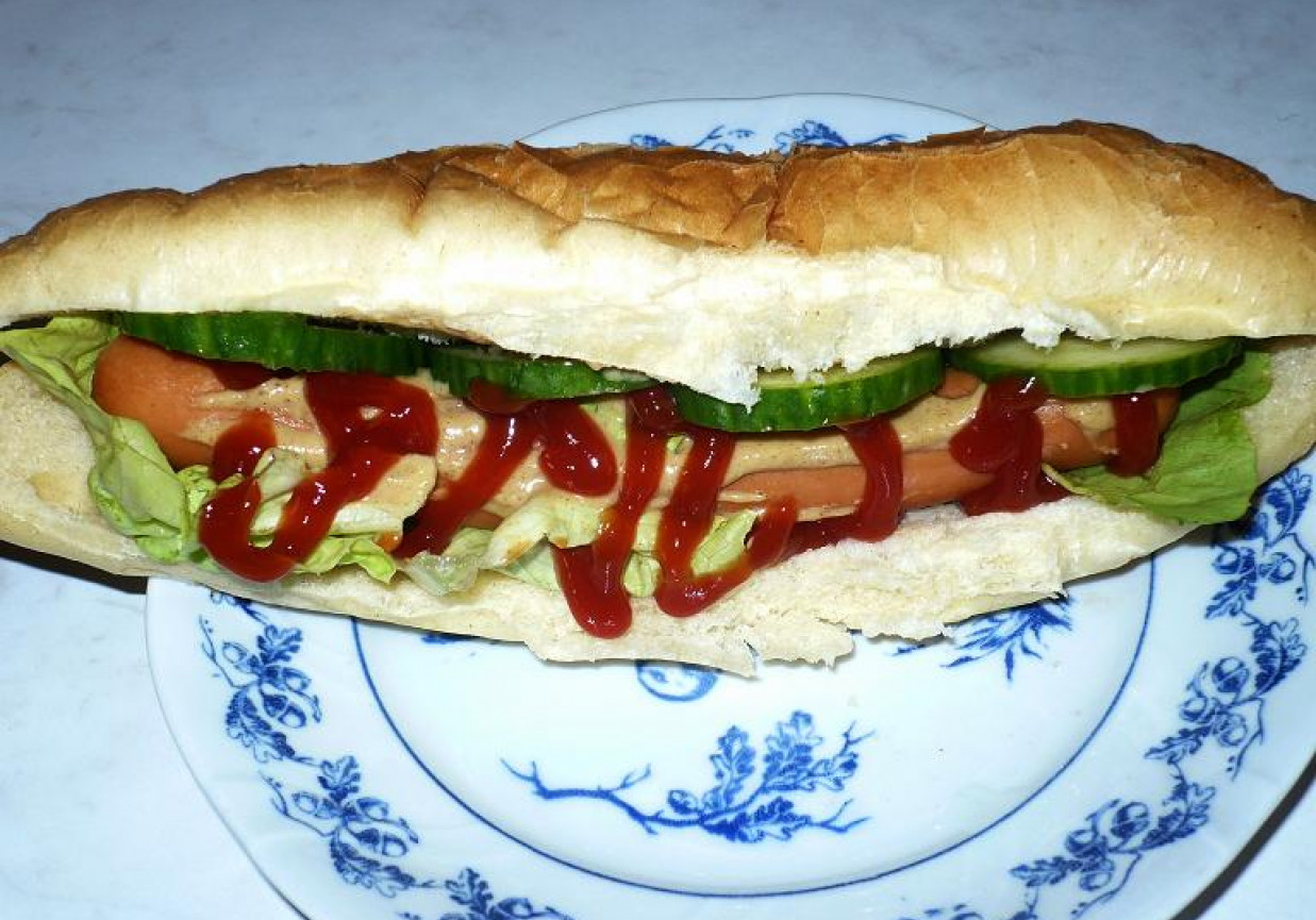 hod-dog - DoradcaSmaku.pl