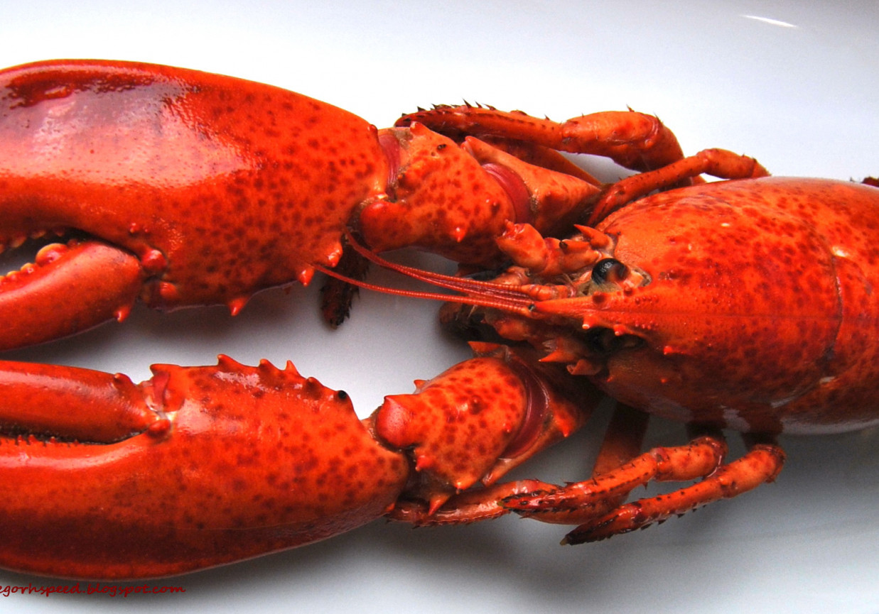 Homar pieczony w maśle z przyprawami - DoradcaSmaku.pl