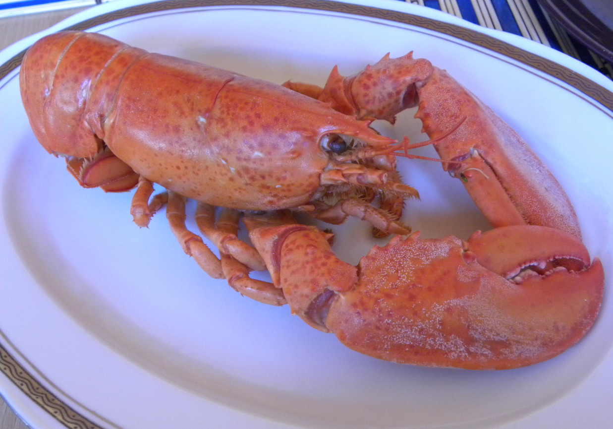 Homar z ziołowym masłem - DoradcaSmaku.pl