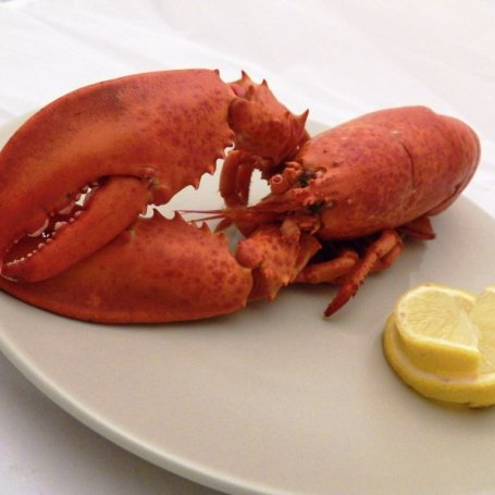 Homar - DoradcaSmaku.pl