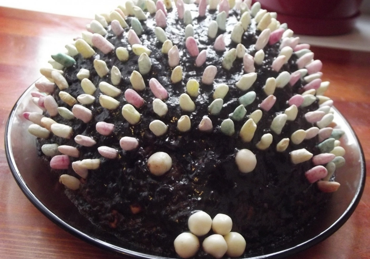 Jeż z budyniu - DoradcaSmaku.pl