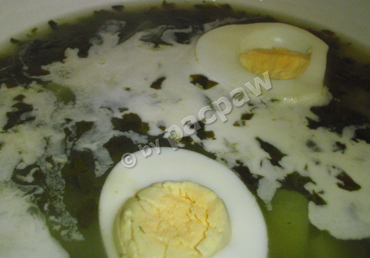 Kacza szczawiówka - DoradcaSmaku.pl