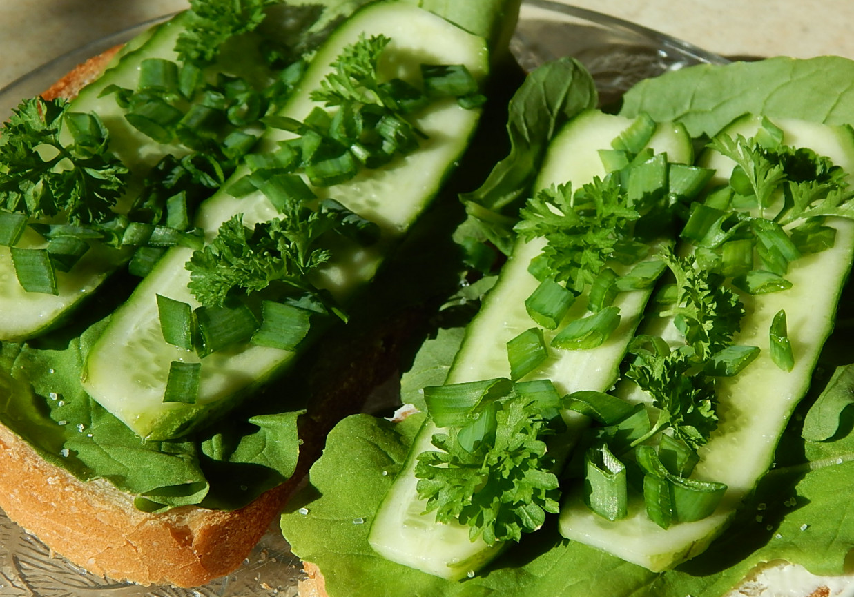 Kanapki wiosenne z rukolą na zielono - DoradcaSmaku.pl