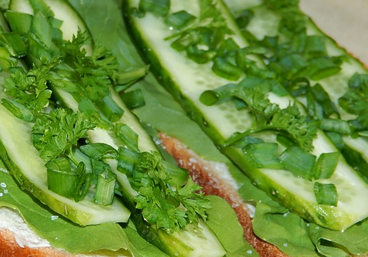 Kanapki wiosenne z rukolą na zielono - DoradcaSmaku.pl