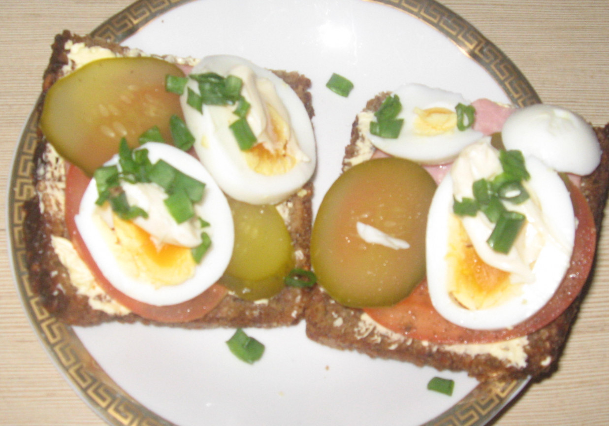 Kanapki z pieczywem owsianym - DoradcaSmaku.pl