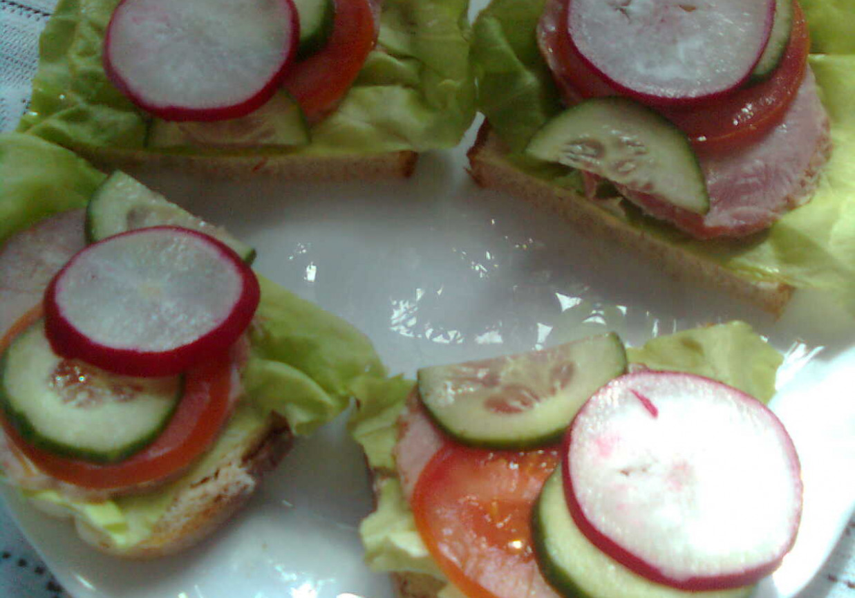 Kanapki - DoradcaSmaku.pl