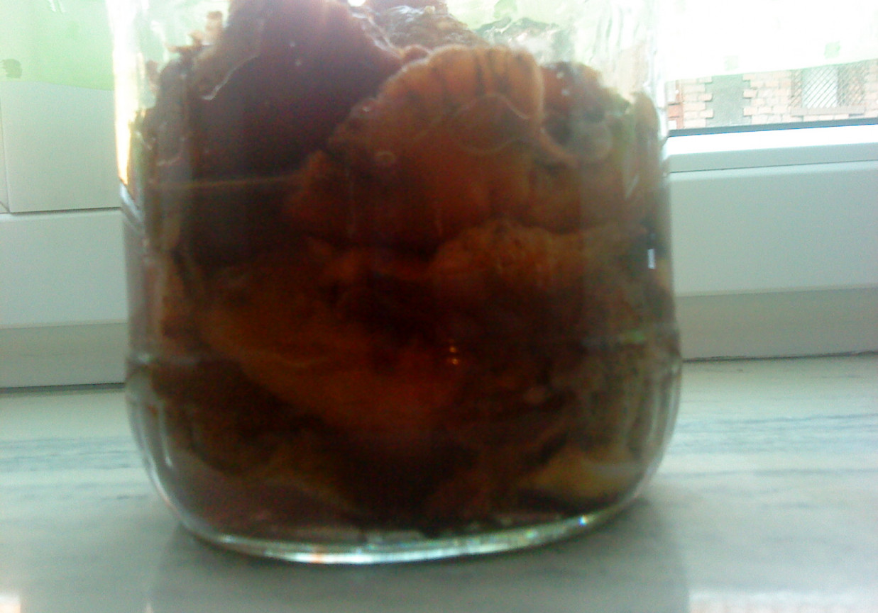 KISZONE RYDZE - DoradcaSmaku.pl