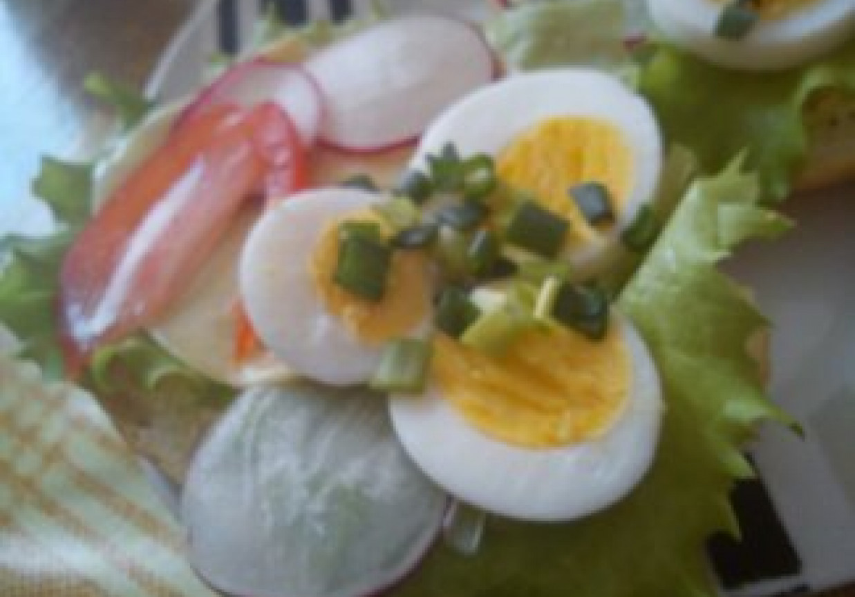 Kolorowe kanapki - DoradcaSmaku.pl