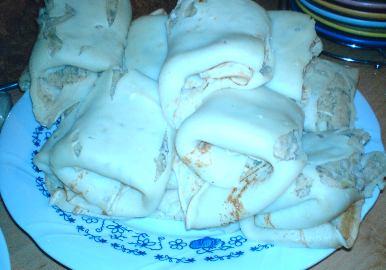 Krokiet - DoradcaSmaku.pl