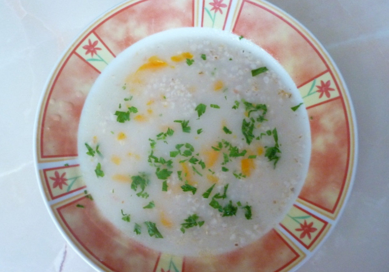 Krupnik - DoradcaSmaku.pl