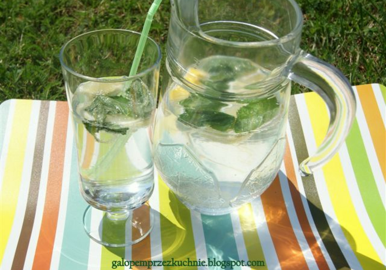 Lemoniada - DoradcaSmaku.pl