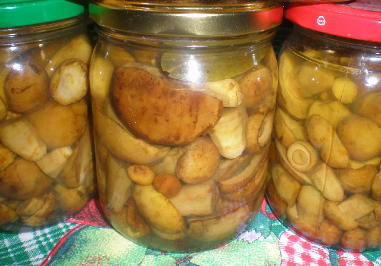 Marynowane grzyby: borowiki i podgrzybki - DoradcaSmaku.pl