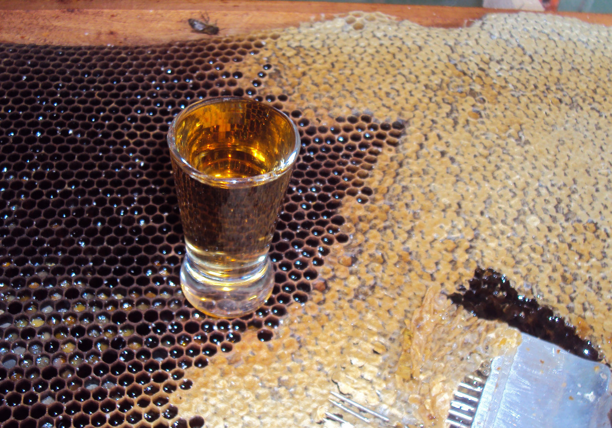 Miód pitny - DoradcaSmaku.pl