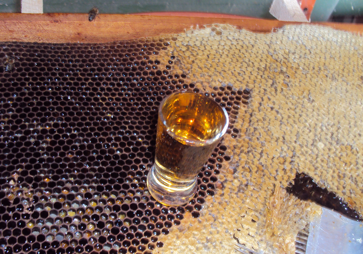 Miód pitny - DoradcaSmaku.pl