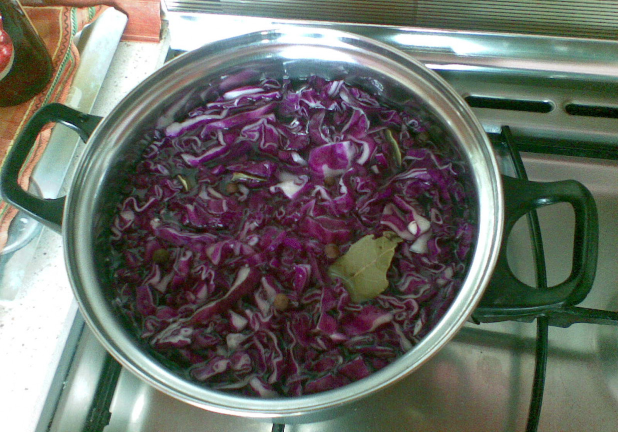 Modra kapusta. - DoradcaSmaku.pl