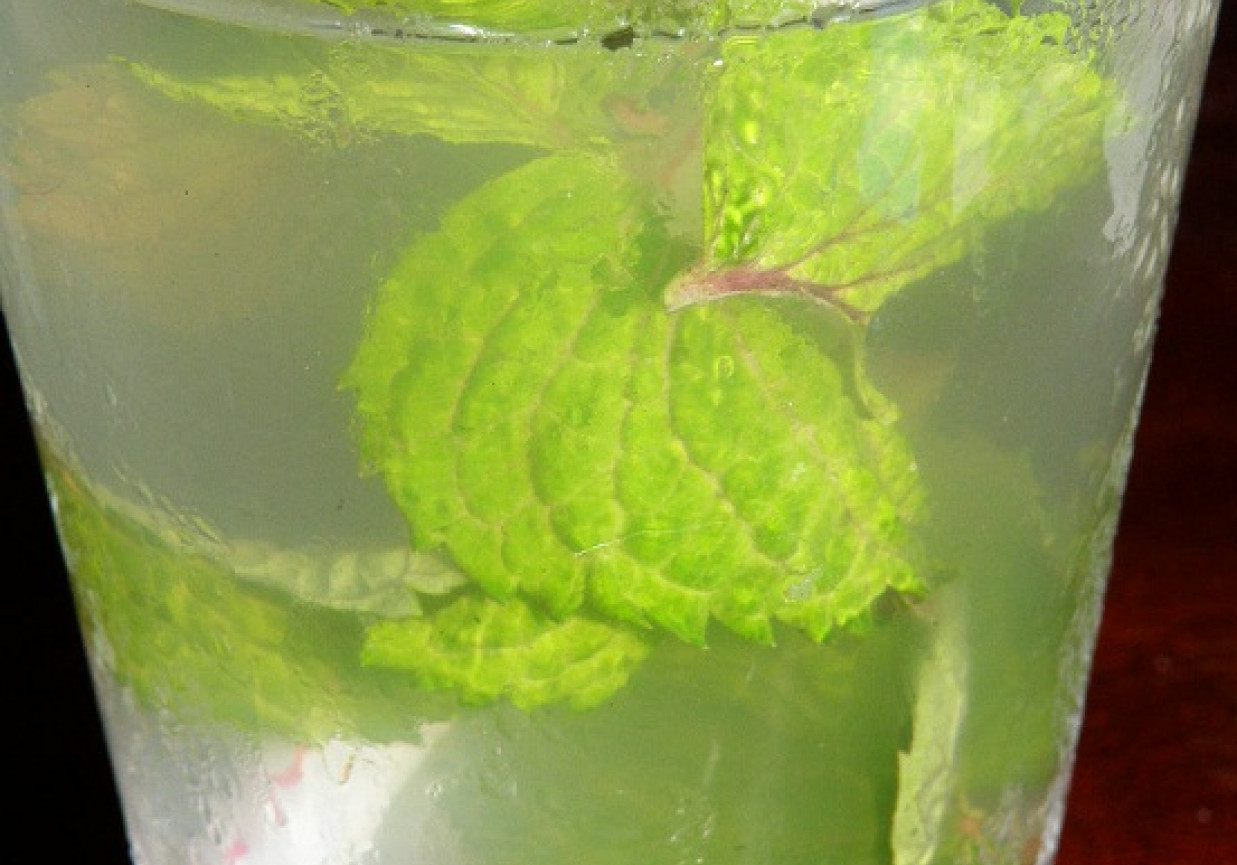 Mohito - DoradcaSmaku.pl