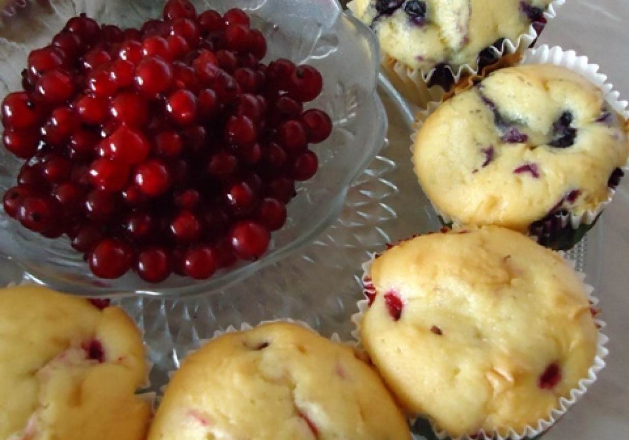 Muffinki z jagodami i porzeczkami - DoradcaSmaku.pl