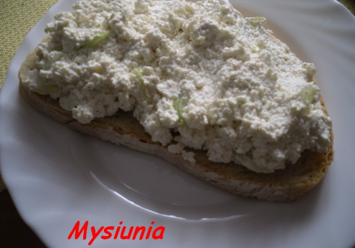 Pasta twarogowa - DoradcaSmaku.pl