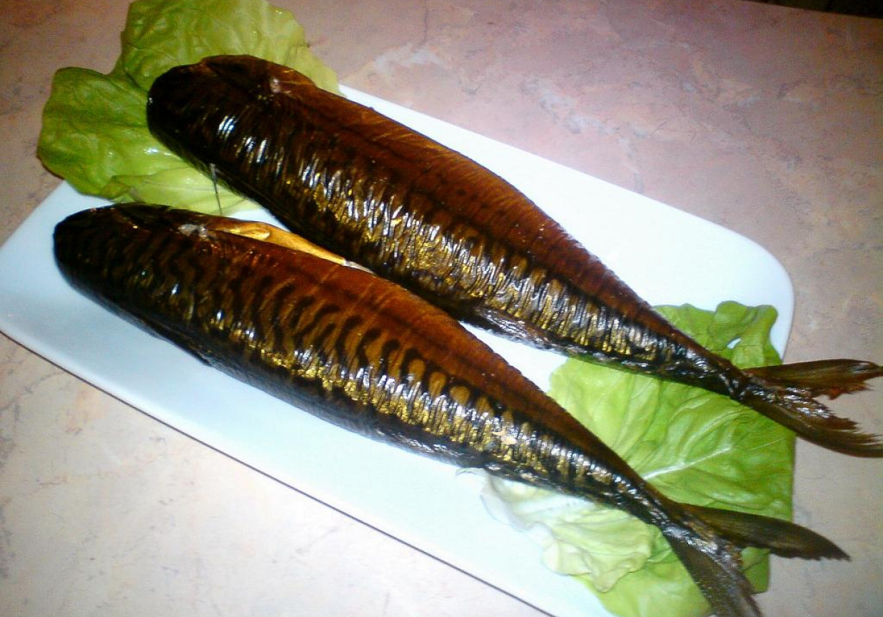 Pasta z makreli - DoradcaSmaku.pl