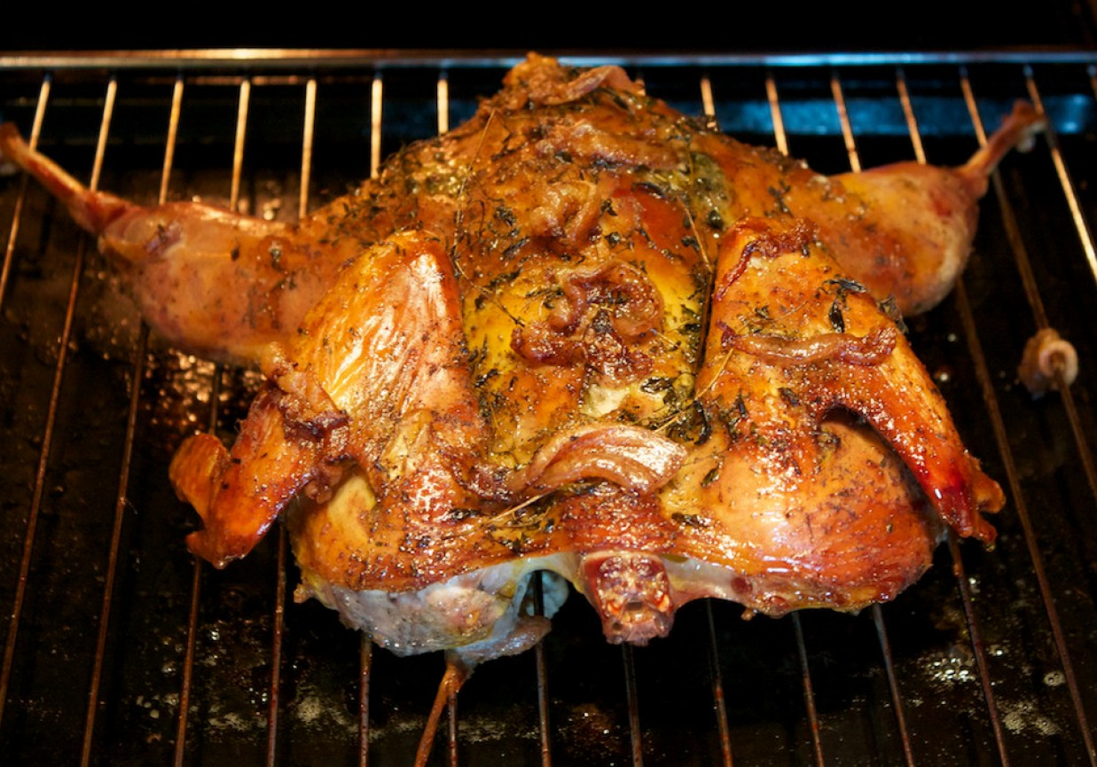 Pieczona perliczka z winem - DoradcaSmaku.pl