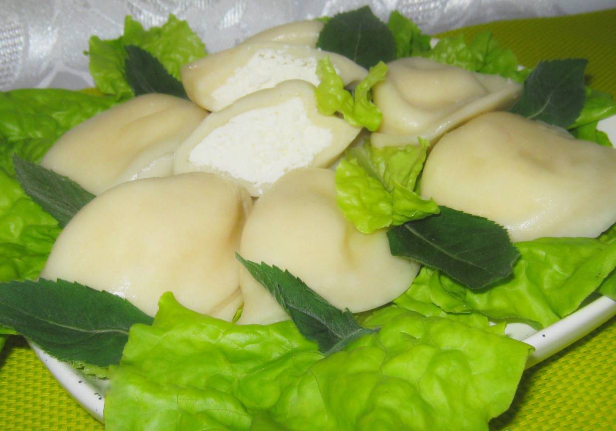 Pierogi od Helenki z serem - DoradcaSmaku.pl