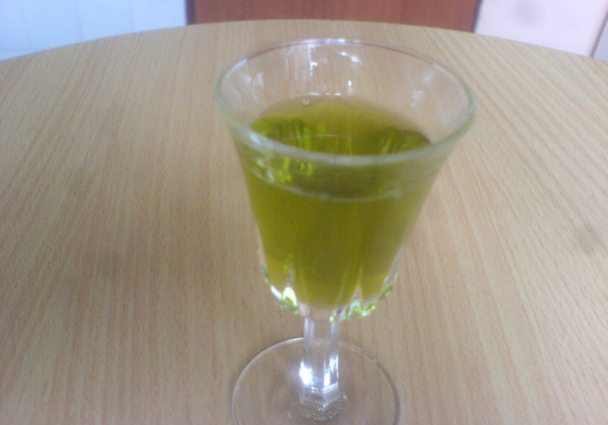 Piołunówka - DoradcaSmaku.pl