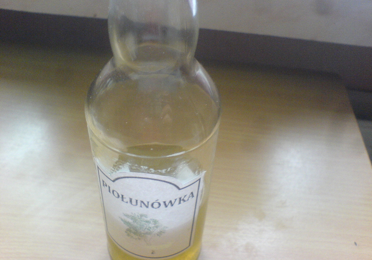 Piołunówka - DoradcaSmaku.pl