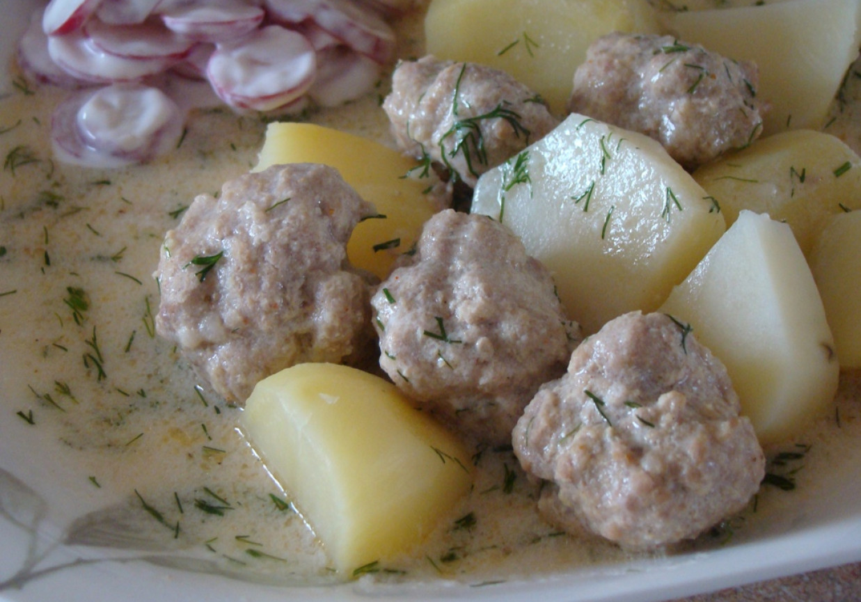 Pulpety w sosie koperkowym - DoradcaSmaku.pl