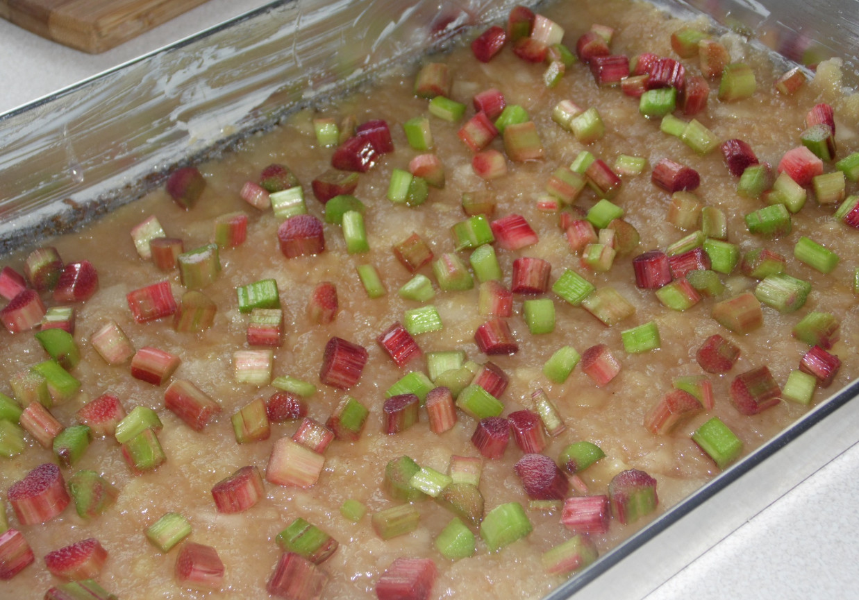 Rabarbar - źródło witamin - DoradcaSmaku.pl