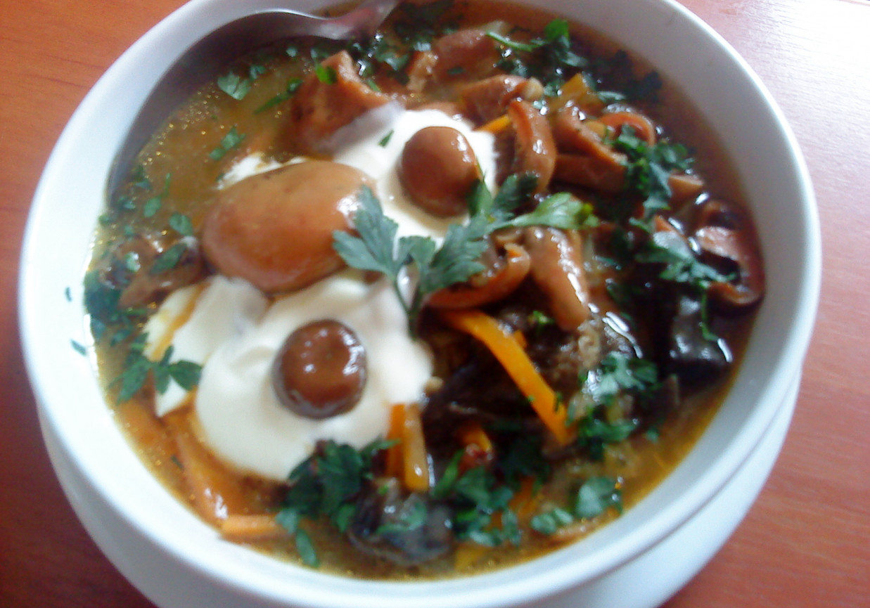 RUDY-RYDZ - DoradcaSmaku.pl