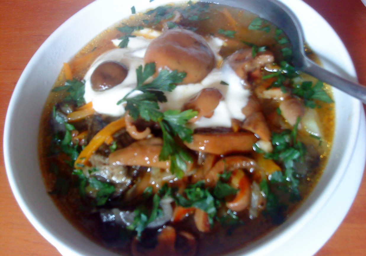 RUDY-RYDZ - DoradcaSmaku.pl