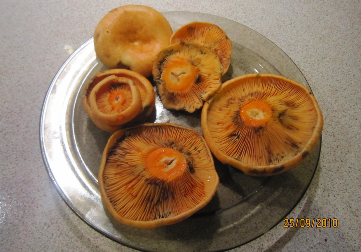 Rydze panierowane - DoradcaSmaku.pl