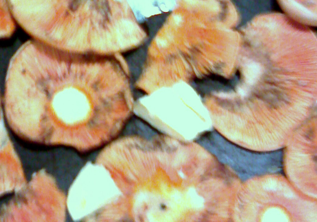 Rydze Smażone - DoradcaSmaku.pl