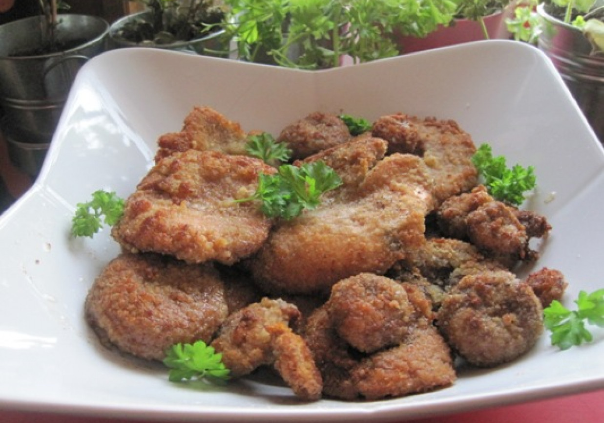 Smażone rydze panierowane - DoradcaSmaku.pl