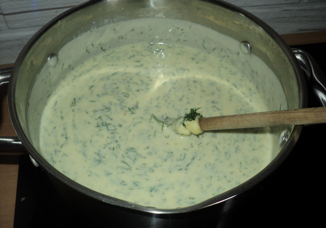 SOS KOPERKOWY - DoradcaSmaku.pl